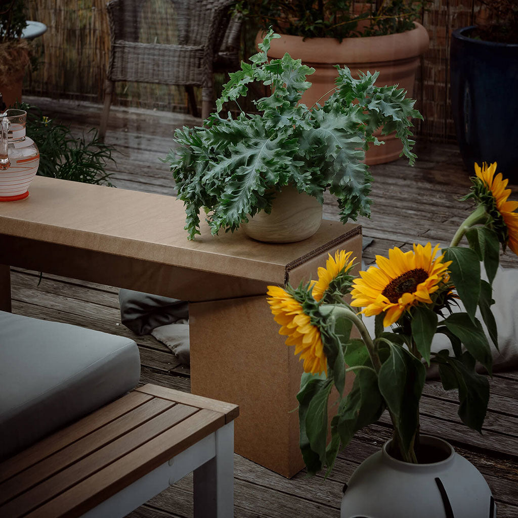 ROOM IN A BOX | Sustainable Cardboard Bench